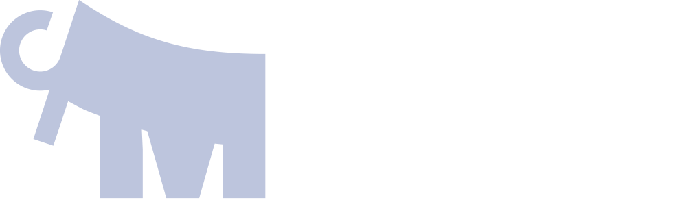 Mammoet Store